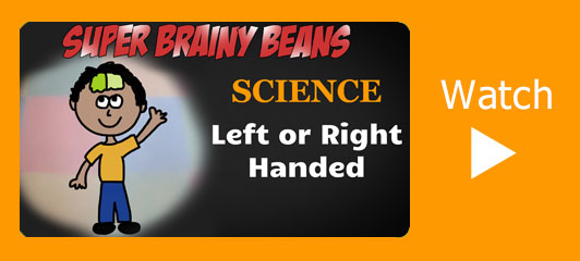 Human Body for Kids, KS1 & KS2 Science Homework help